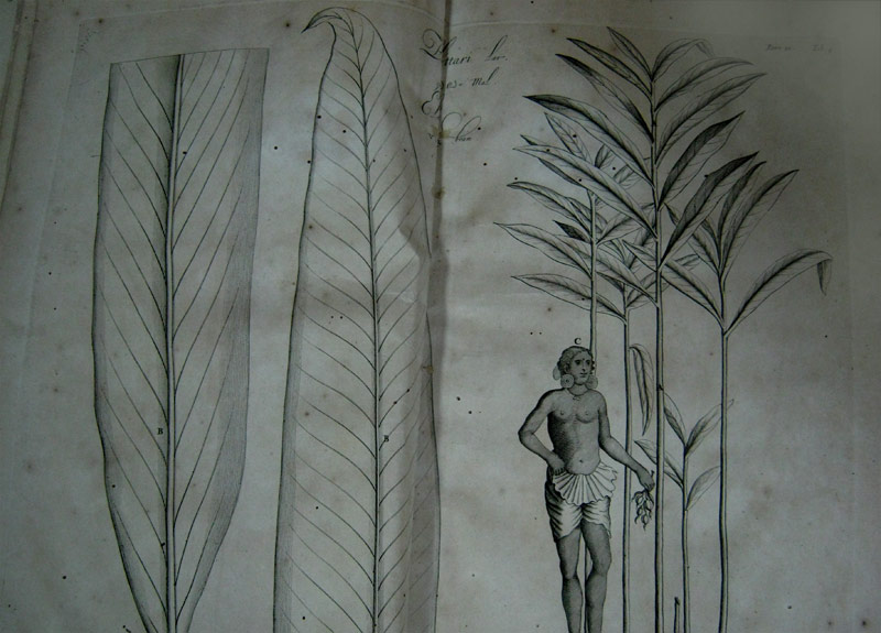 Dutch in Kerala - Glimpses of World History through Kerala and Dutch